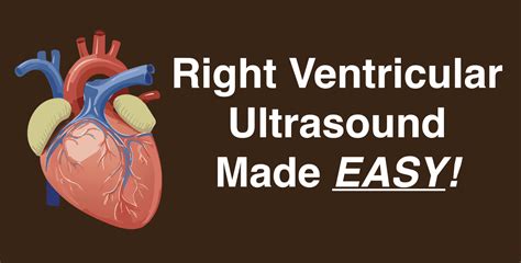 Right Ventricular Ultrasound Qualitative And Quantitative Assessments Pocus 101