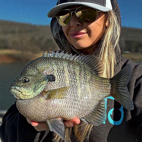 World Record Bluegill