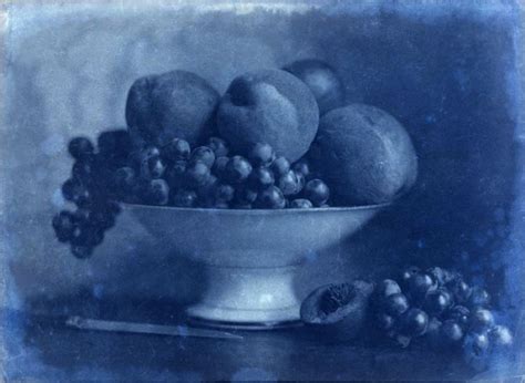 Cyanotype Process Cyanotype Process Cyanotype Artwork Painting