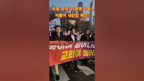 대통령 석방 이후 국회 접수 헌재 포위 윤석열 석방 탄핵기각 장동혁 전한길 손현보 김행 황우여 김민수 주요셉 경찰 국회 헌법재판소 이재명 구속