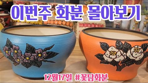 12월 17일 이번주화분 몰아보기 꽃담다육스토리예쁜화분화분싸게파는곳다육식물多肉植物succulents다육이꽃담화분다육화분꽃담다육스토리화분 Youtube