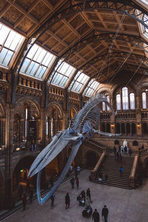 Must See Free London Museums And Galleries Artofit