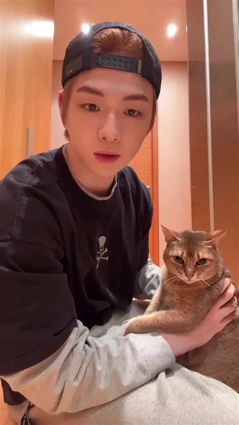 자칭 고양이인간과 찐고양이 팬플러스 커뮤니티