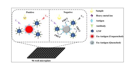 Time Resolved Fret Based Immunosensor For The Ultrasensitive And Rapid