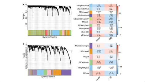 Weighted Gene Co Expression Network Analysis Wgcna Revealing Gene