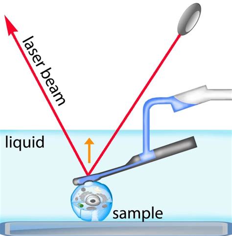 Schematic Illustration Of Fluidic Force Microscopy The Nanofluidic