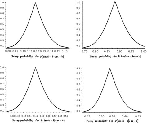 Fuzzy Conditional Probabilities For Sex And Smoke We Calculate Fuzzy Conditional Probabilities For Sex And Smoke We Calculate