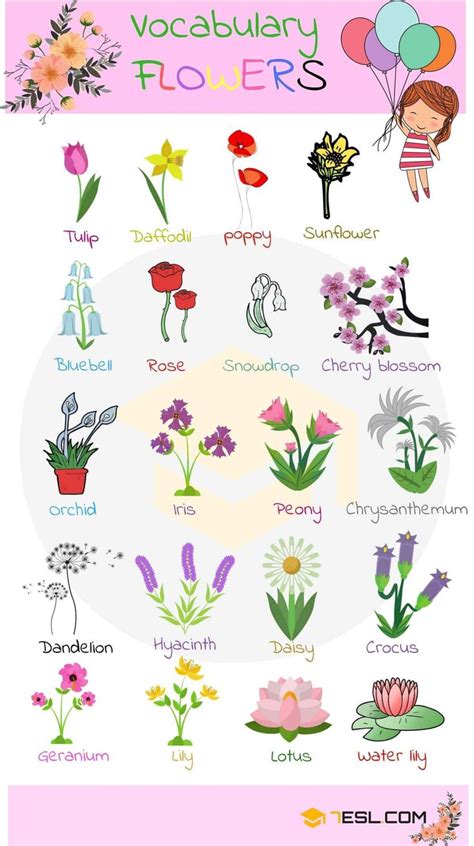 Plants And Flowers • 7esl English Vocabulary English Language