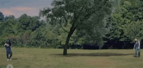 Swaying Tree GIFs Find Share On GIPHY Swaying Tree GIFs Find Share On GIPHY