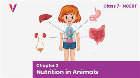 Class 7 Science Q And A Solved Ncert Vikrant Academy®