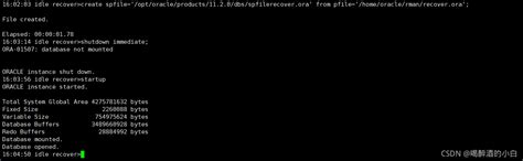 Rman迁移（单机到rac）rman单机恢复到rac Csdn博客