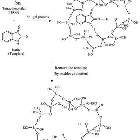 A Possible Schematic Representation Of Dummy Template Molecular Download Scientific Diagram