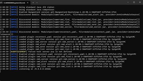 Could Not Connect To A Default Or Fallback Server Incorrectly Configured Addressportfirewall