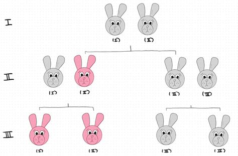 Mutation And The Tree Of Life