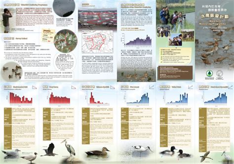 Hkbws Waterbird Monitoring Pdf