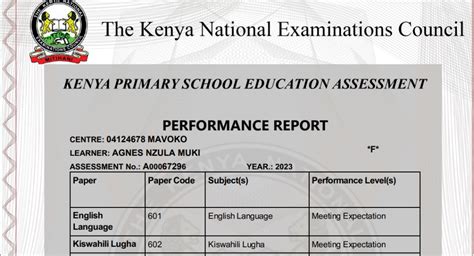 Knec Releases 2023 Kpsea Results Schools To Download Reports