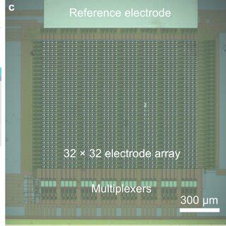 CMOS Based Electrochemical Detector Array For High Throughput Quantal Download Scientific