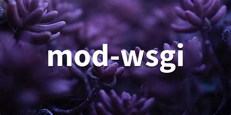 mod wsgi 5 0 1 installer for apache mod wsgi