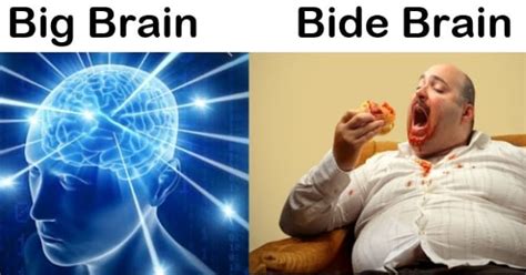 Memes Brain Size