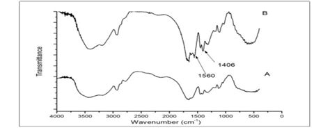 Ftir Spectra Of A Polyacrylamide Gel Without Alkaline Hydrolysis And Download Scientific