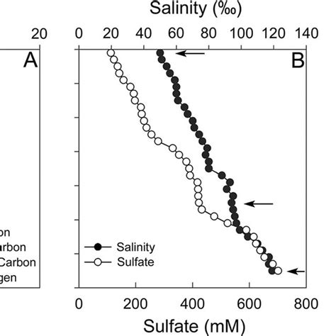 Depth Profiles Of Bulk Sediment A Pore Water Chemistry B And