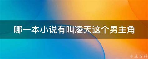 哪一本小说有叫凌天这个男主角 业百科