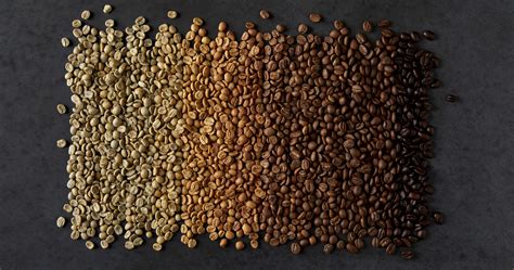 Difference Between Light Medium And Dark Roast U3 Coffee