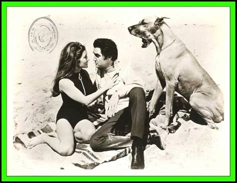 Elvis With Michele Carey Live A Little Love A Little Priscilla