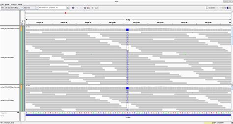 Combined Visualization Of Alignments And Numerical Data Rbioinformatics