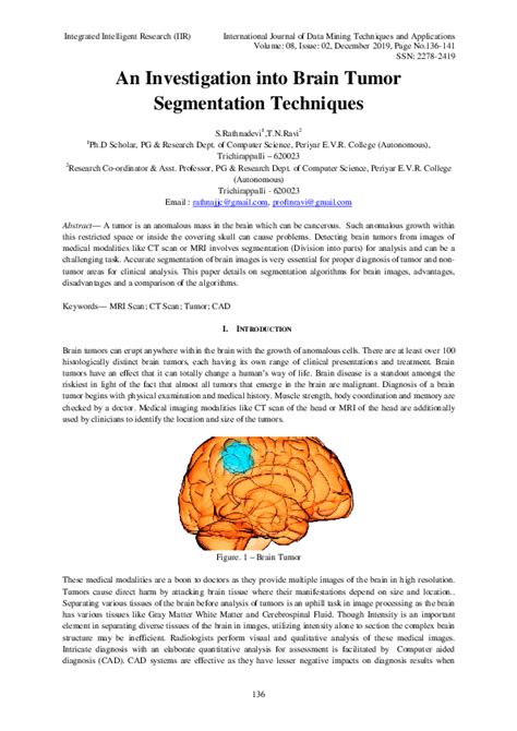Pdf An Investigation Into Brain Tumor Segmentation Techniques