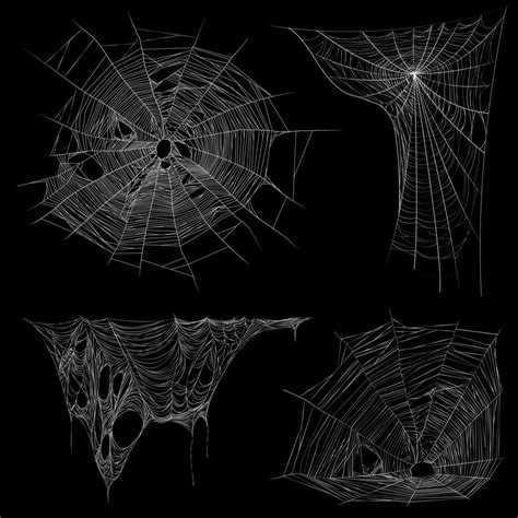 Realistic Spider Web Drawings