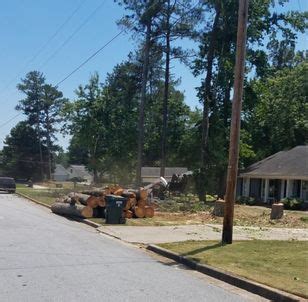 Tree Removal Covington GA