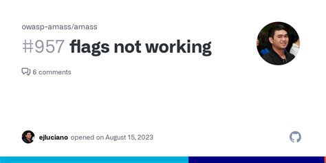Flags Not Working · Issue 957 · Owasp Amassamass · Github
