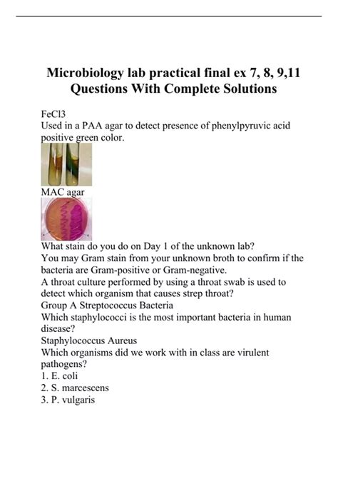 Microbiology Lab Practical Final Ex 7 8 911 Questions With Complete