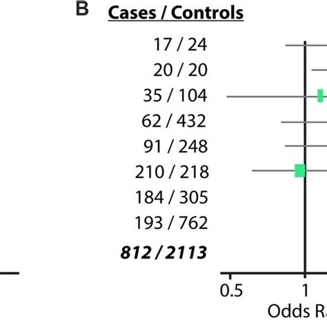 Two Common Findings In Schizophrenia Working Memory Deficits And Download Scientific Diagram