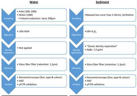8 Schematic Flowchart Of Sample Processing Download Scientific Diagram