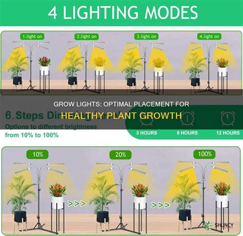 Grow Lights Optimal Placement For Healthy Plant Growth Shuncy