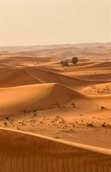 El Desierto Del Sahara