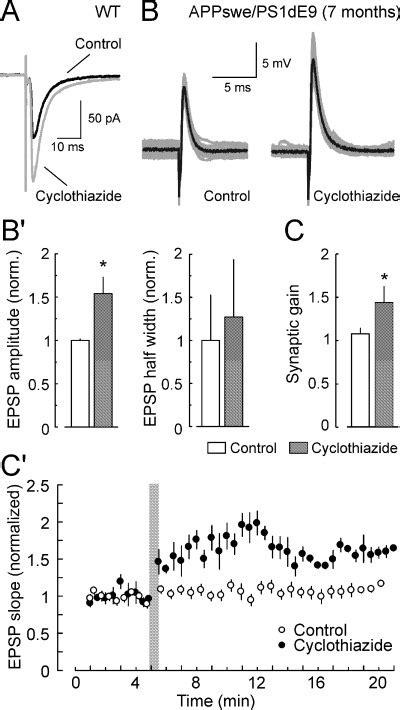 Cyclothiazide An Inhibitor Of α Amino 3 Hydroxy 5 Methyl 4 Isoxazole Download Scientific