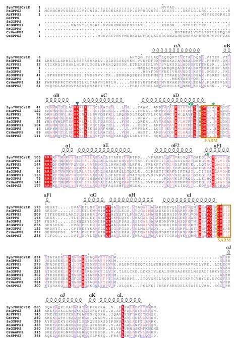 Figure 1 From Crystal Structure Of Geranylgeranyl Pyrophosphate Synthase Crte Involved In