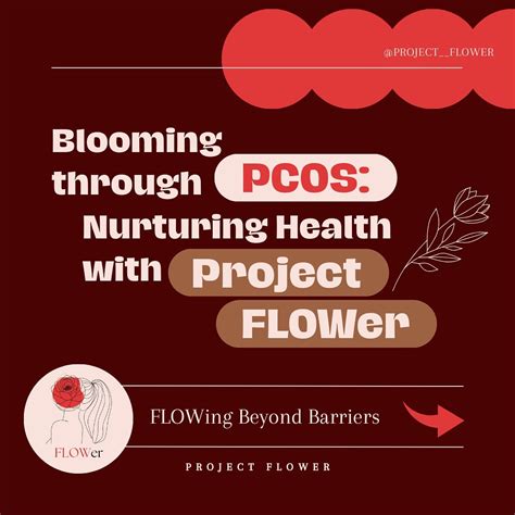 Project Flower 🌹 Projectflower • Instagram Photos And Videos