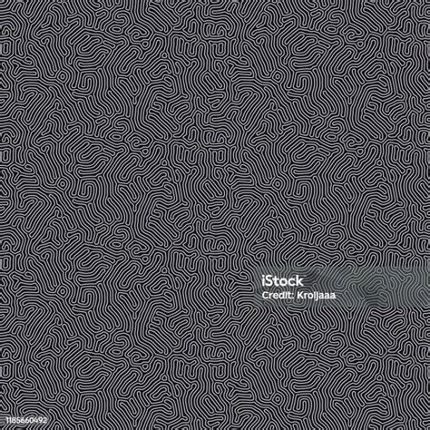둥근 선이있는 유기적 배경 확산 반응 원활한 패턴 생물학적 모양의 선형 설계 흑백의 추상 벡터 그림입니다 검은색에 대한 스톡 벡터 아트 및 기타 이미지 Istock