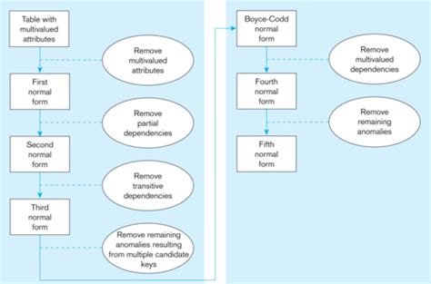 Lesson 5 Normalisation Flashcards Quizlet