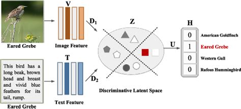 Figure 1 From Fine Grained Image Text Retrieval Via Discriminative Latent Space Learning