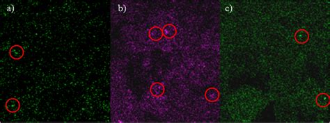 Sem Eds Elemental Mapping Of Deposits And Vanadium On The Surface Of