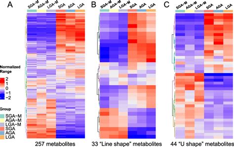 Heatmap Showing Normalized Metabolite Abundance In Different Groups A Download Scientific