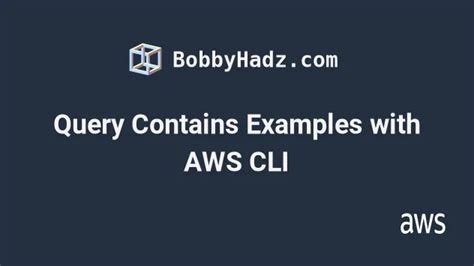 Query Contains Examples With Aws Cli Bobbyhadz