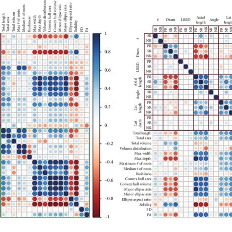 Phenotypic Trait Relationship Correlation Matrix Of Phenes And Phene