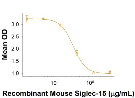 Siglec 15 Research Products Novus Biologicals