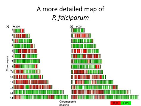 Ppt A Flexible Scalable Genomics Framework For Integrating Heterogeneous Vector Sequence Data